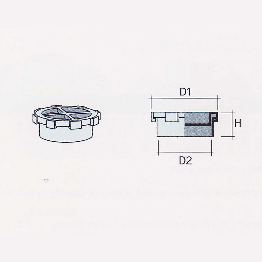 Besstem RWDP UPVC Fitting Access Plug • Plumbing Supplier Malaysia