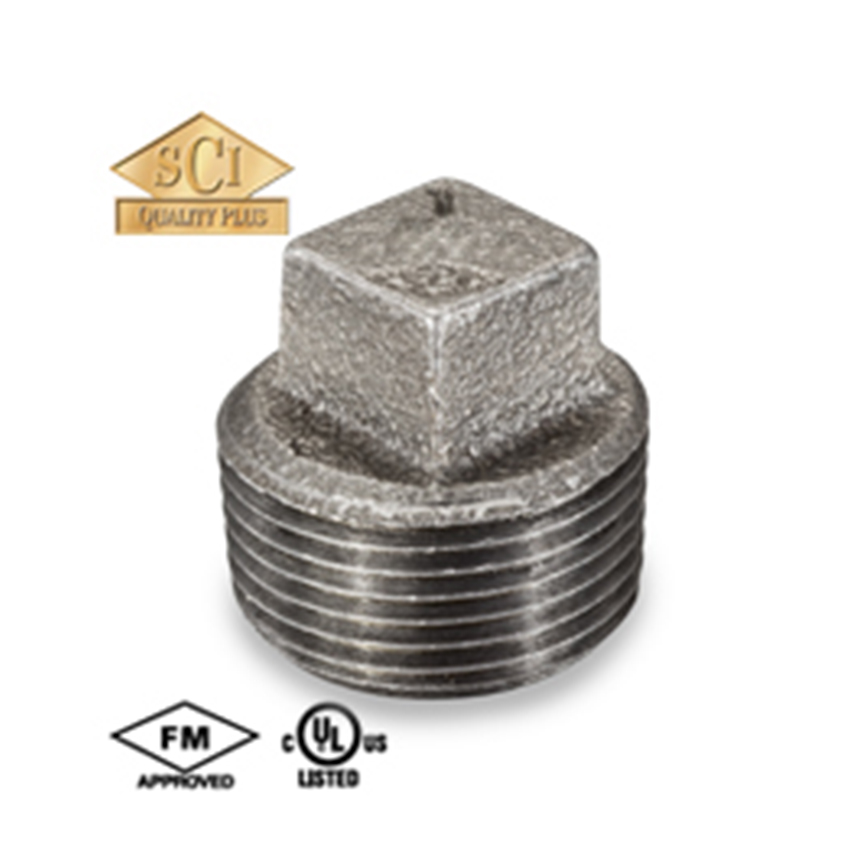 SCI Gi Fitting Plugs • Plumbing Supplier Malaysia